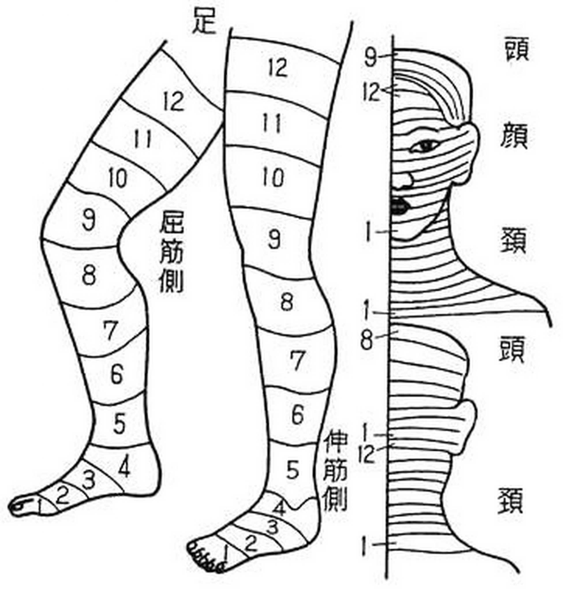 Hakko Ryu - Yotsume Dojo