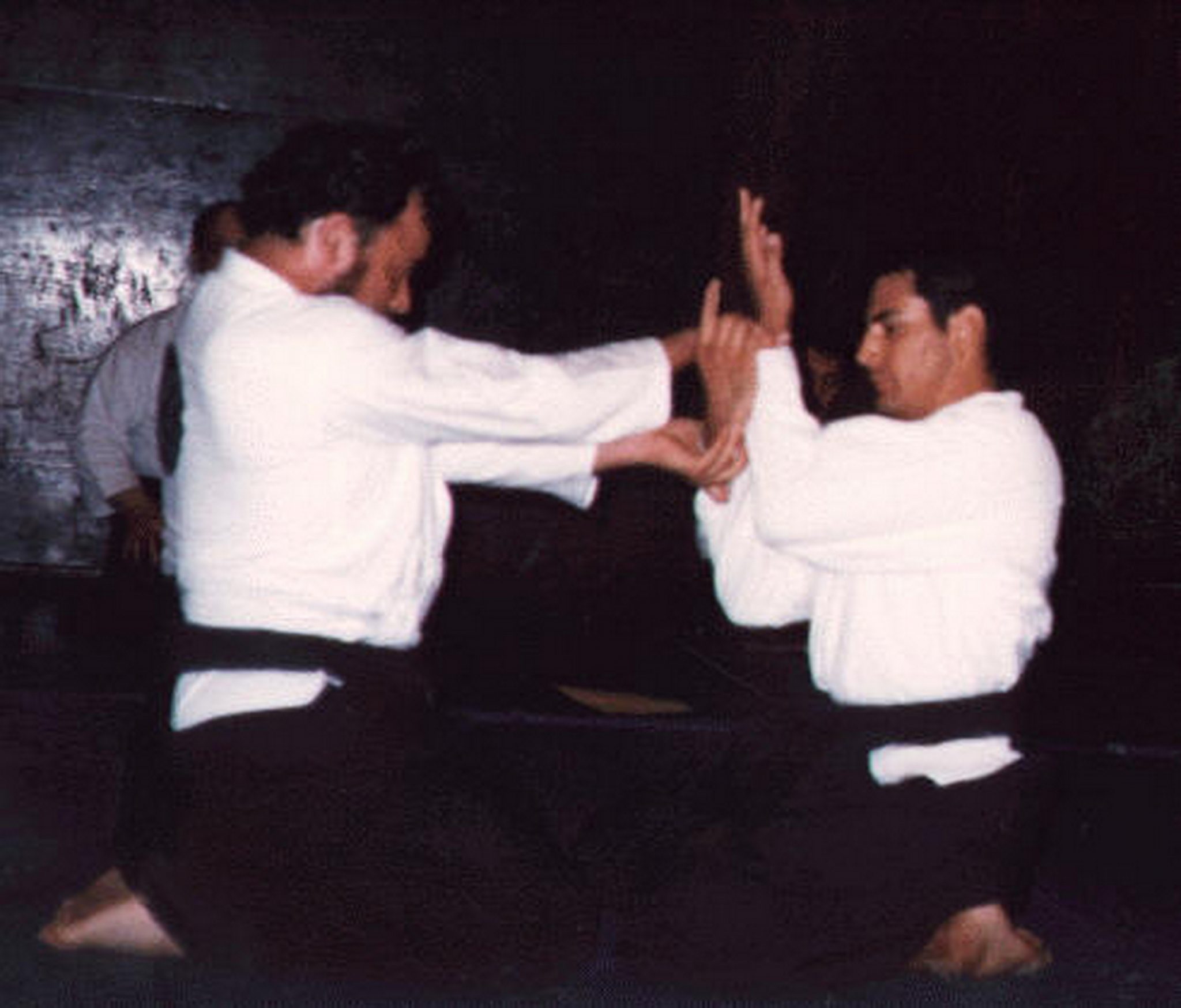Hakko Ryu - Yotsume Dojo