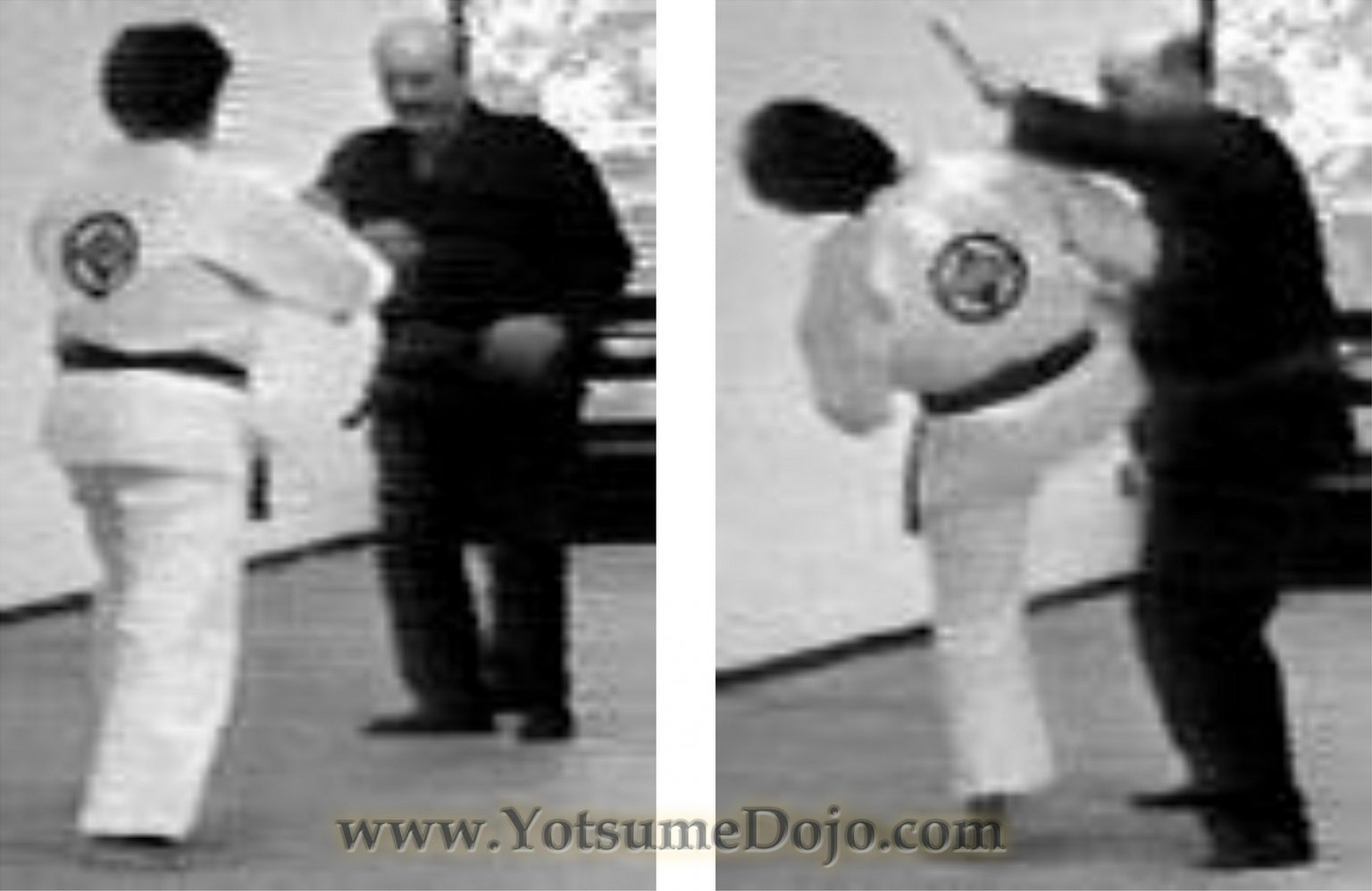 Jigen Ryu - Yotsume Dojo